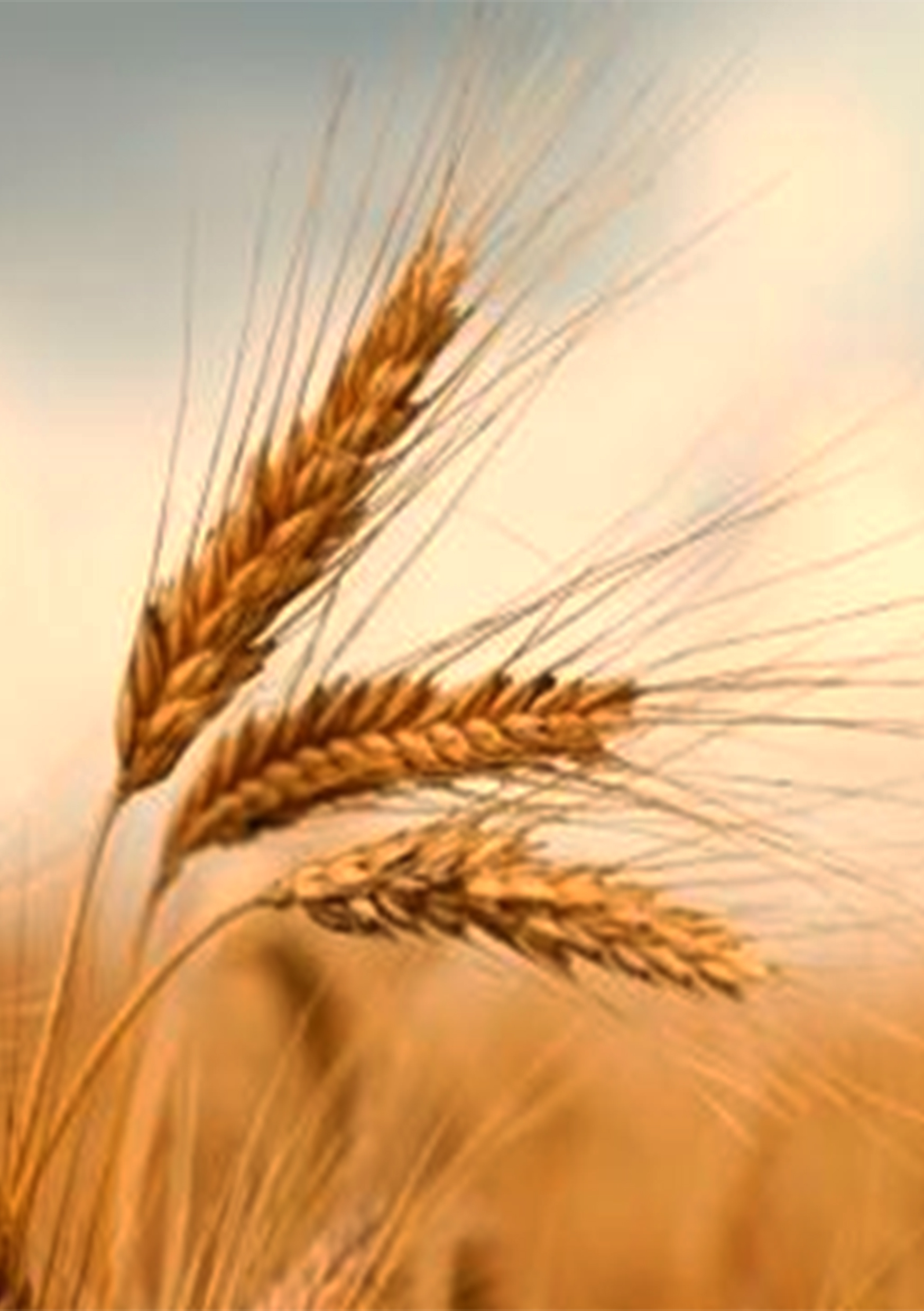 Bediening – NG Montana